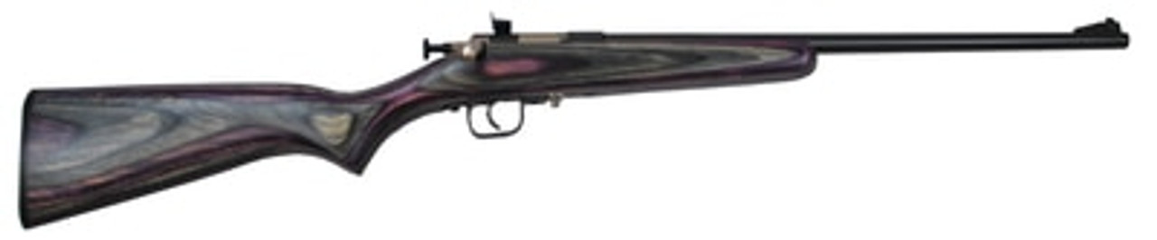 Buy Keystone Crickett Youth, Lock, 22LR, 16.125" Barrel, Blue Finish ...